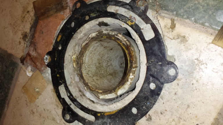 Tree Roots In Toilet Drains Are Dangerous | Robinson's Plumbing Service